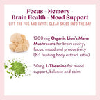 natural energy boost lion's mane