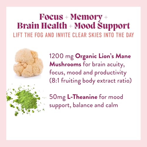 natural energy boost lion's mane