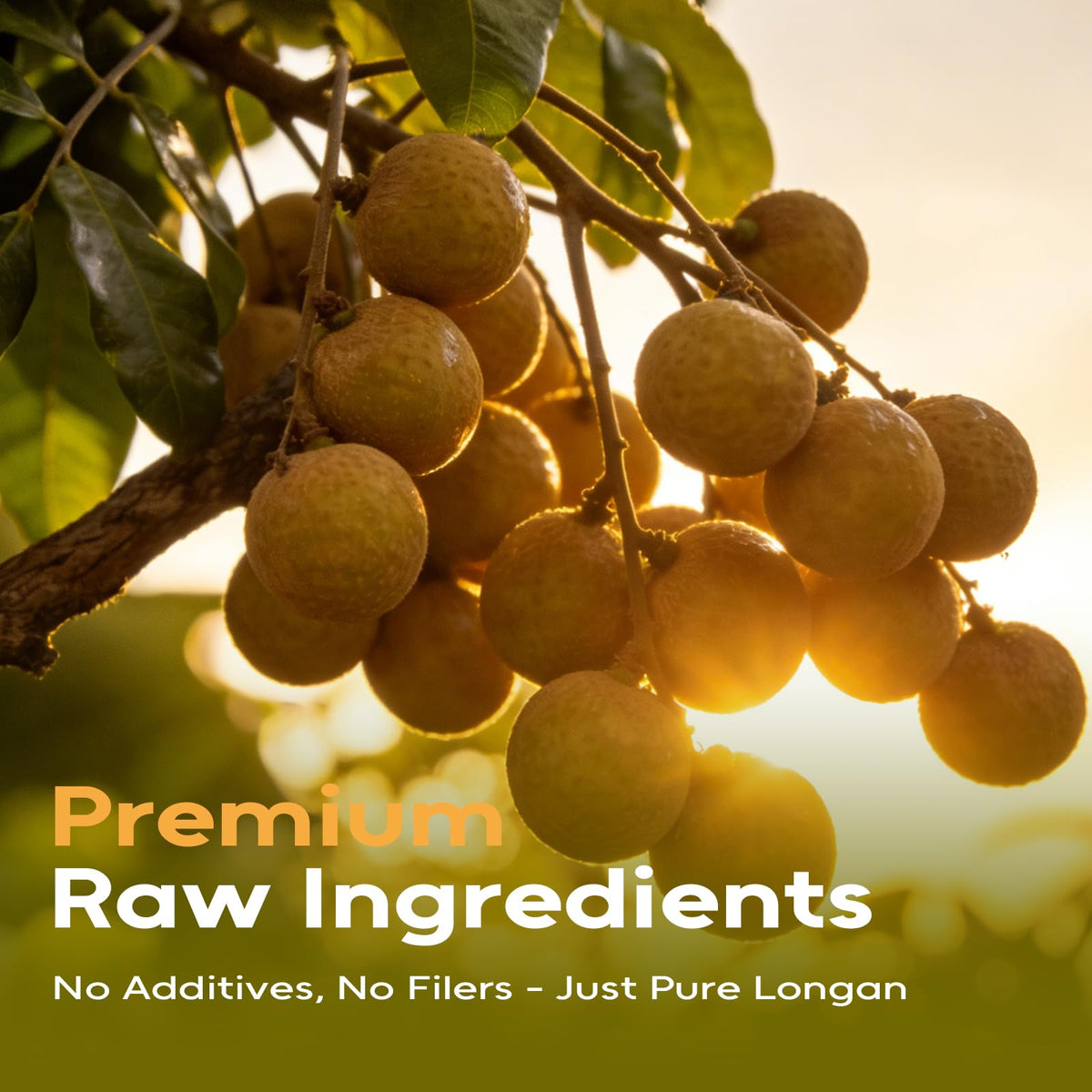 natural energy boost longan fruit