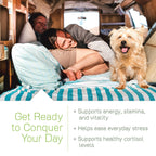 Natural energy boost Maca Root