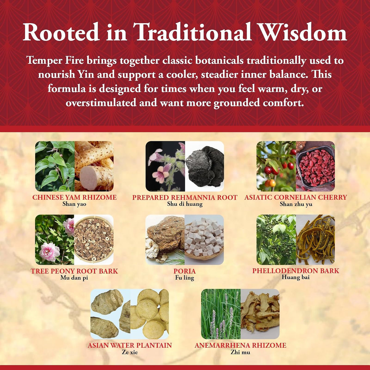 natural energy boost multivitamin