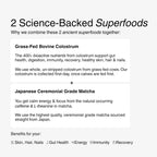 natural energy boost multivitamins