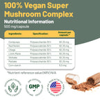 natural energy boost mushroom blend