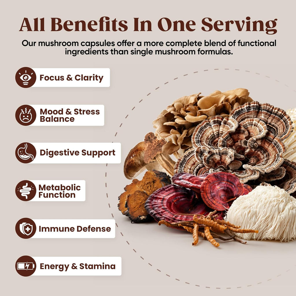 Natural energy boost mushroom blend