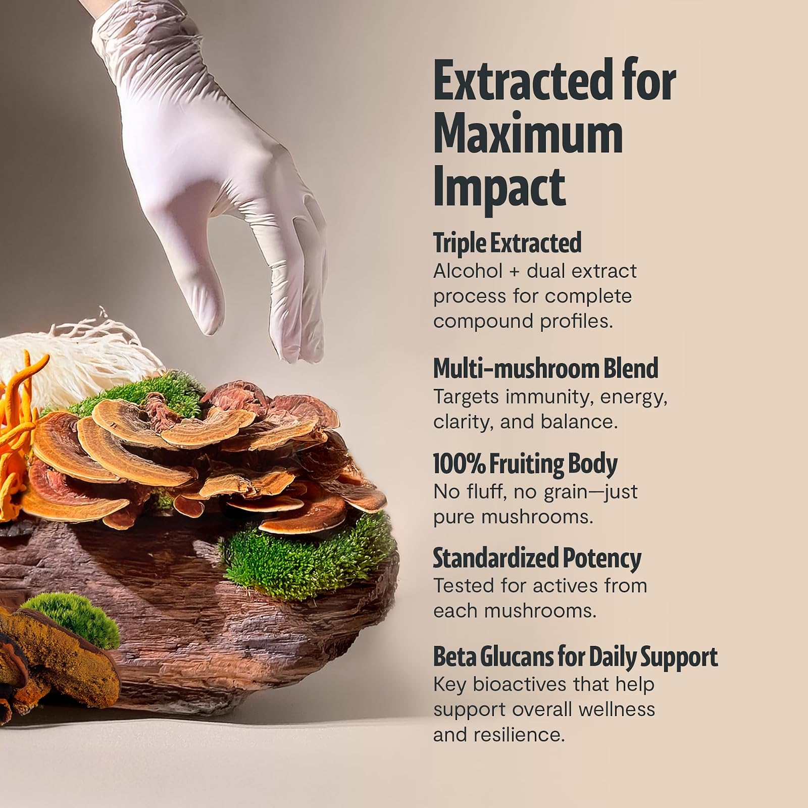 natural energy boost mushroom capsules