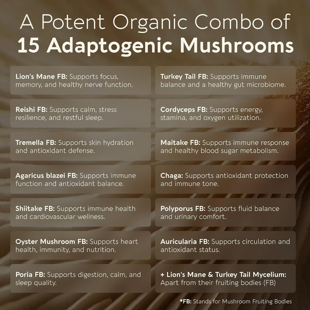 natural energy boost mushroom extract