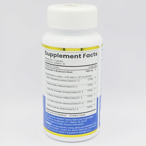 natural energy boost mushroom extract