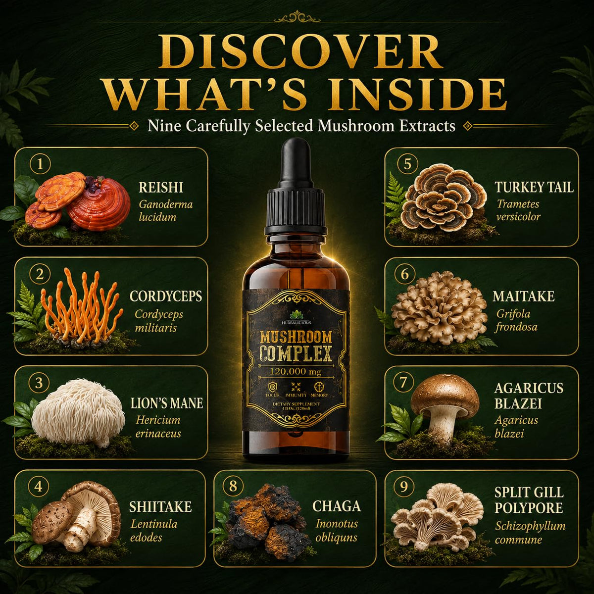 natural energy boost mushroom extract