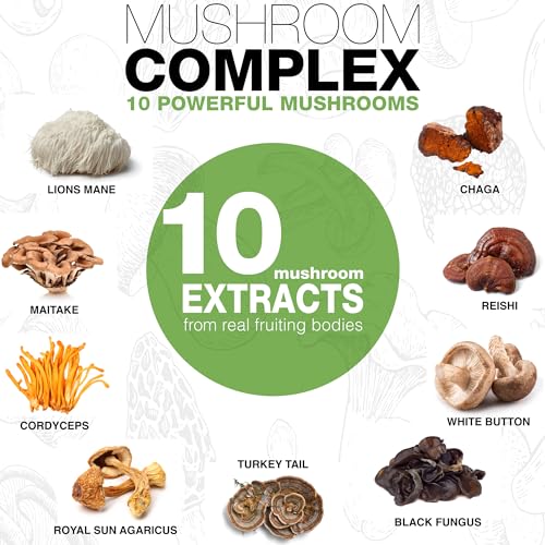 natural energy boost mushroom gummies