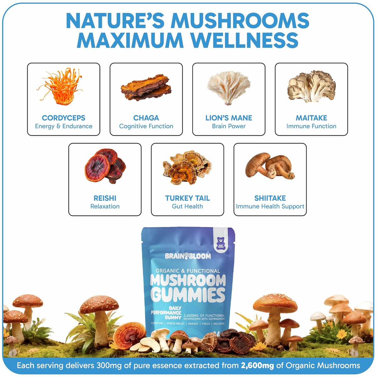 natural energy boost mushroom gummies