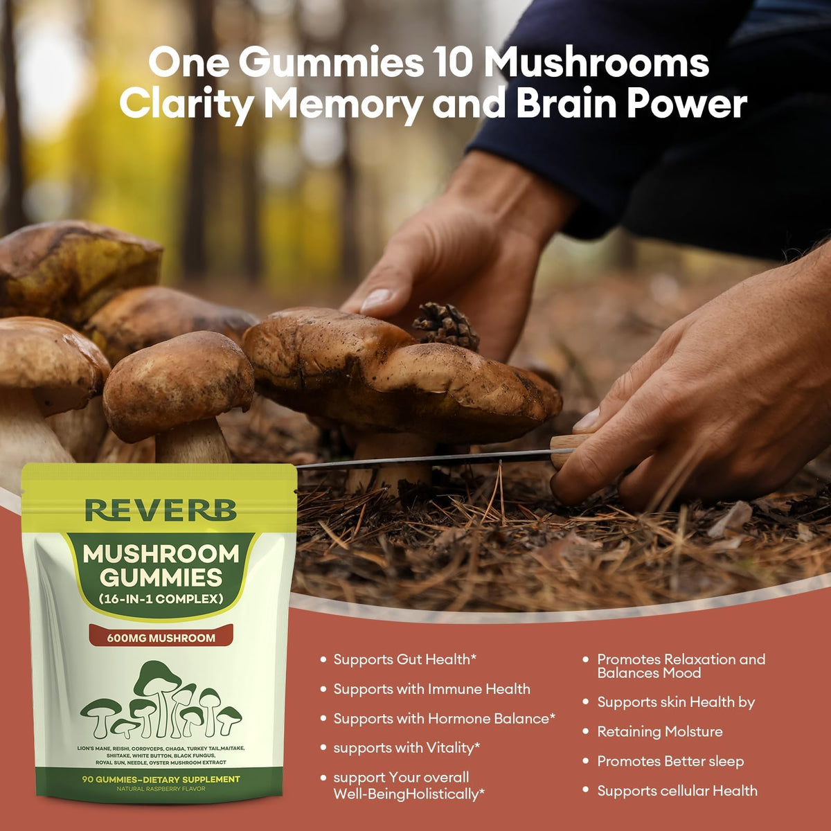 natural energy boost mushroom gummies