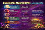 Natural energy boost mushroom gummies