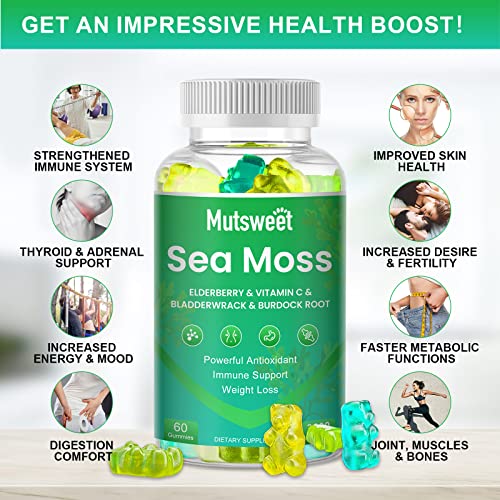 natural energy boost mushroom powder