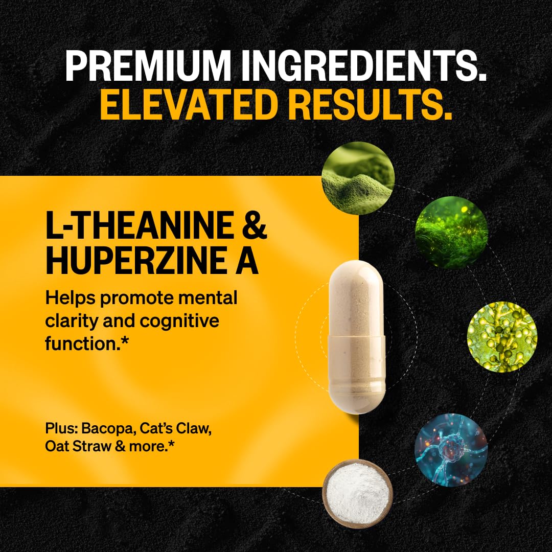 natural energy boost ONNIT Alpha Brain