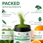 natural energy boost powder