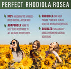 natural energy boost rhodiola capsules
