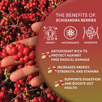 natural energy boost schisandra tea