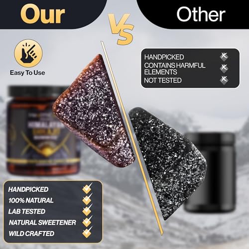 natural energy boost shilajit gummies
