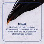 natural energy boost shilajit resin