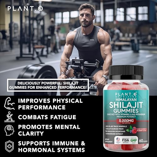 natural energy boost shilajit