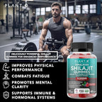 natural energy boost shilajit
