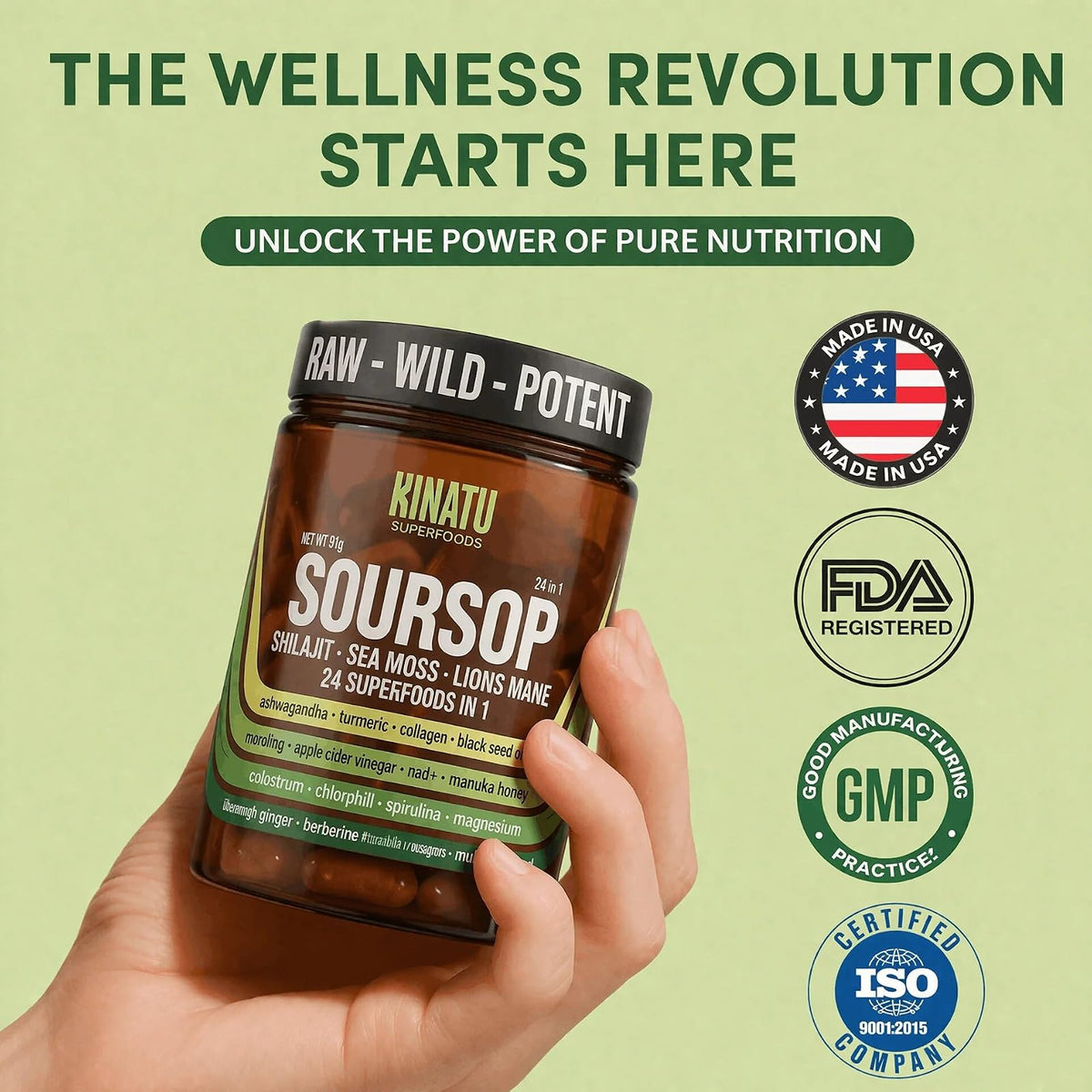 natural energy boost shilajit