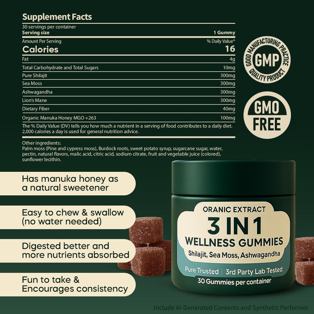 natural energy boost Shilajit