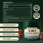 natural energy boost Shilajit