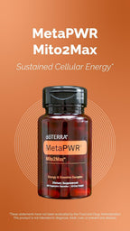 natural energy boost supplement