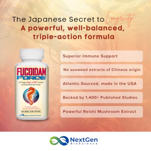 natural energy boost supplements