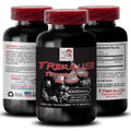 natural energy boost tribulus