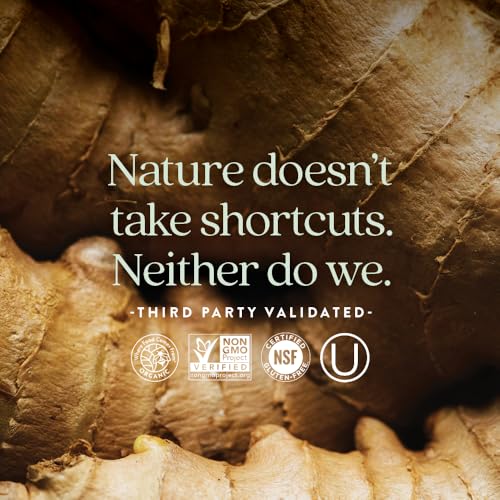 natural energy boost vitamin b complex