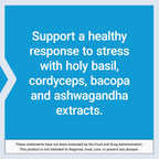 natural energy boost with adrenal formula