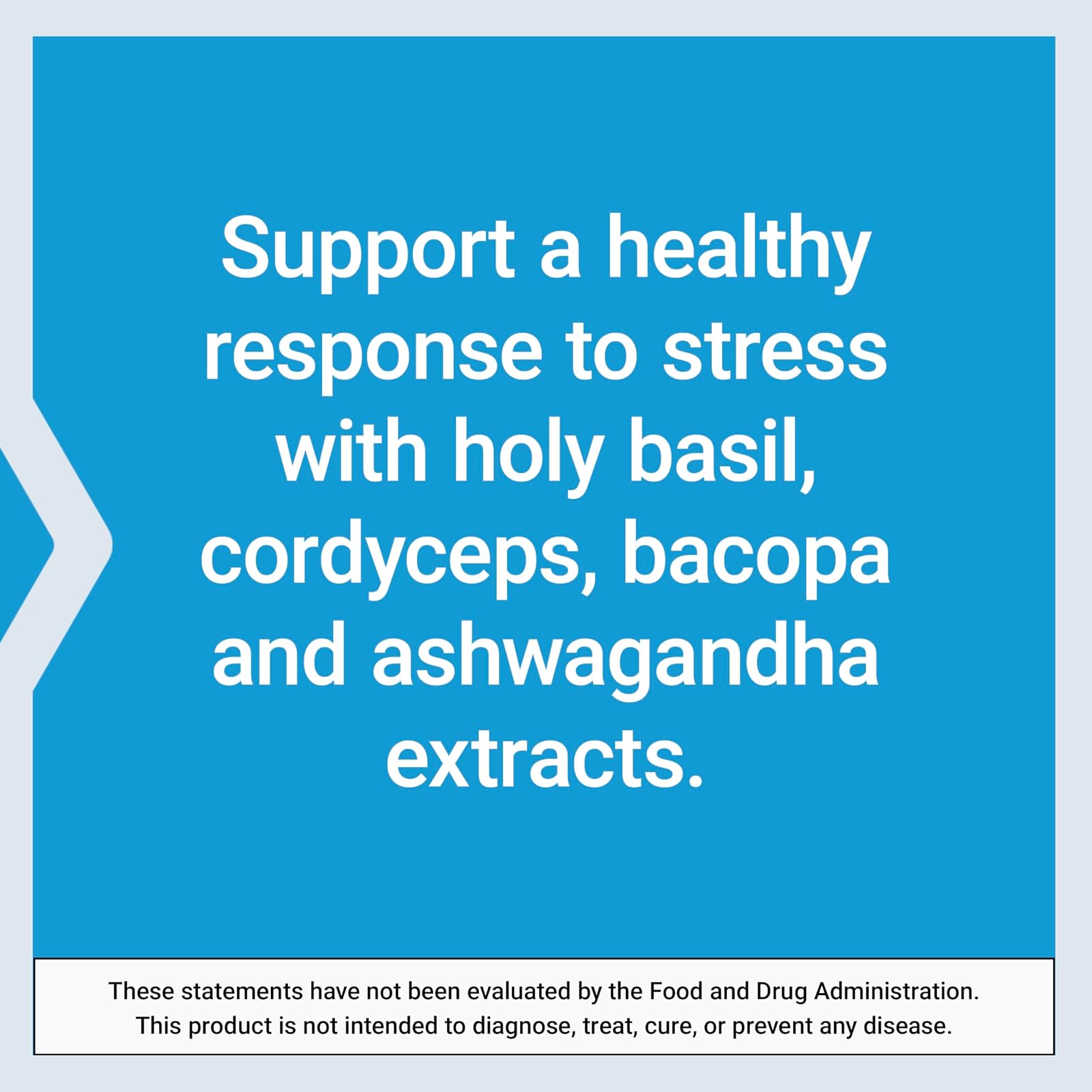natural energy boost with adrenal formula