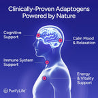 natural energy boost with ashwagandha gummies