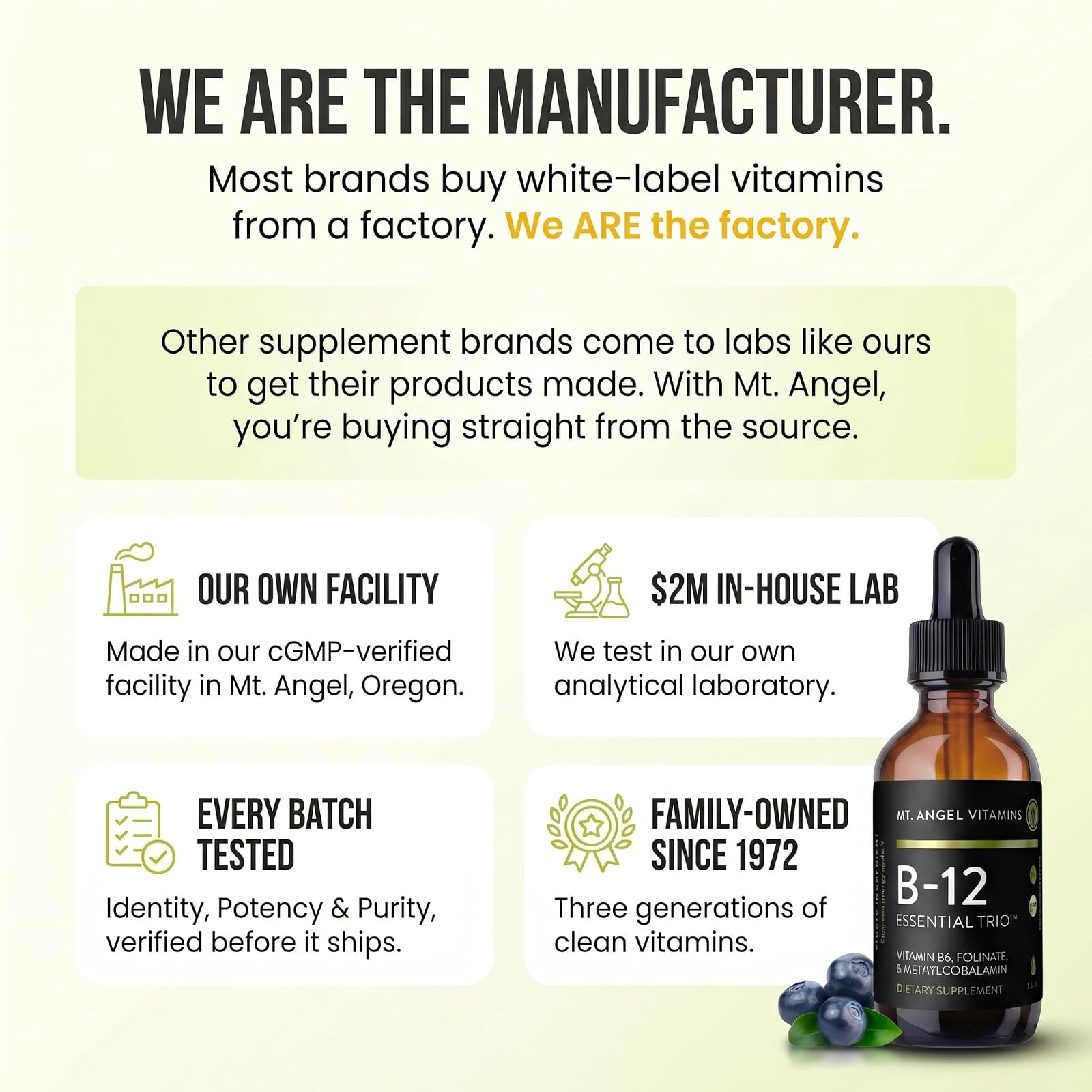 natural energy boost with b12