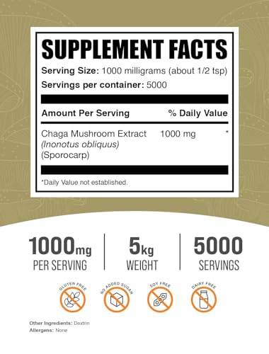 Natural energy boost with Chaga mushrooms