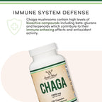 natural energy boost with chaga