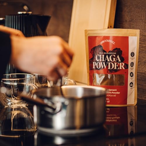 natural energy boost with chaga