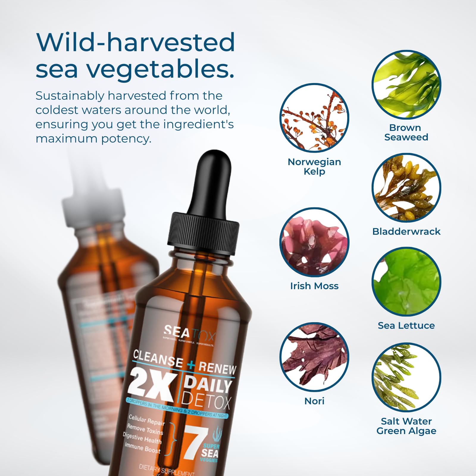 natural energy boost with Cleanse & Renew