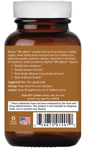 natural energy boost with cordyceps
