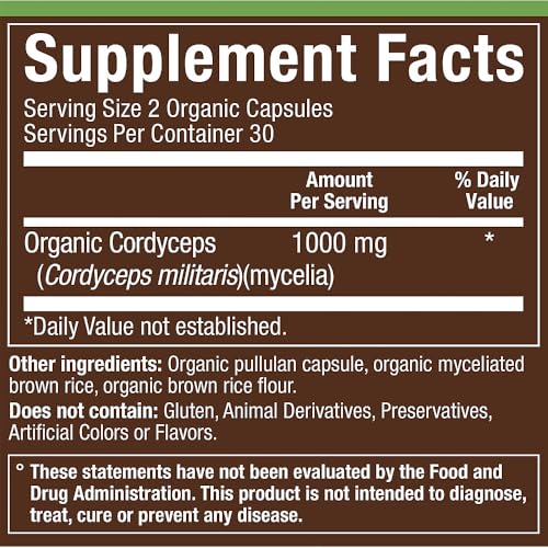 natural energy boost with cordyceps