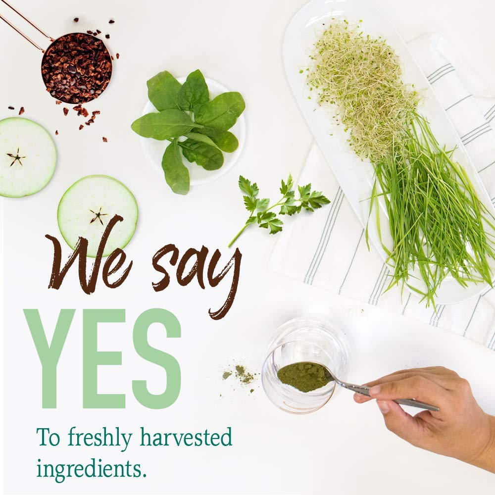 Natural energy boost with every scoop