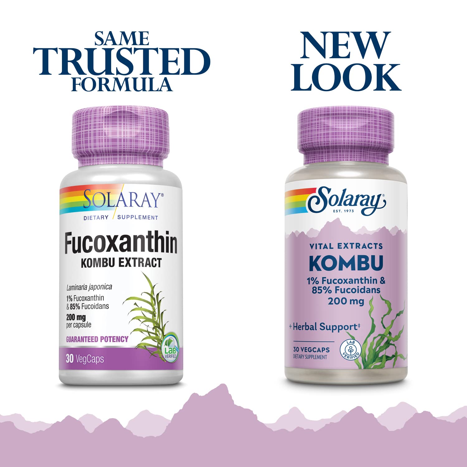 natural energy boost with Fucoxanthin