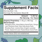 natural energy boost with ginkgo biloba