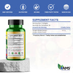 Natural energy boost with Ginkgo Biloba