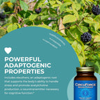 natural energy boost with ginkgo biloba
