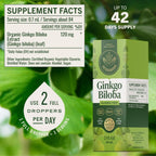 Natural energy boost with Ginkgo Biloba