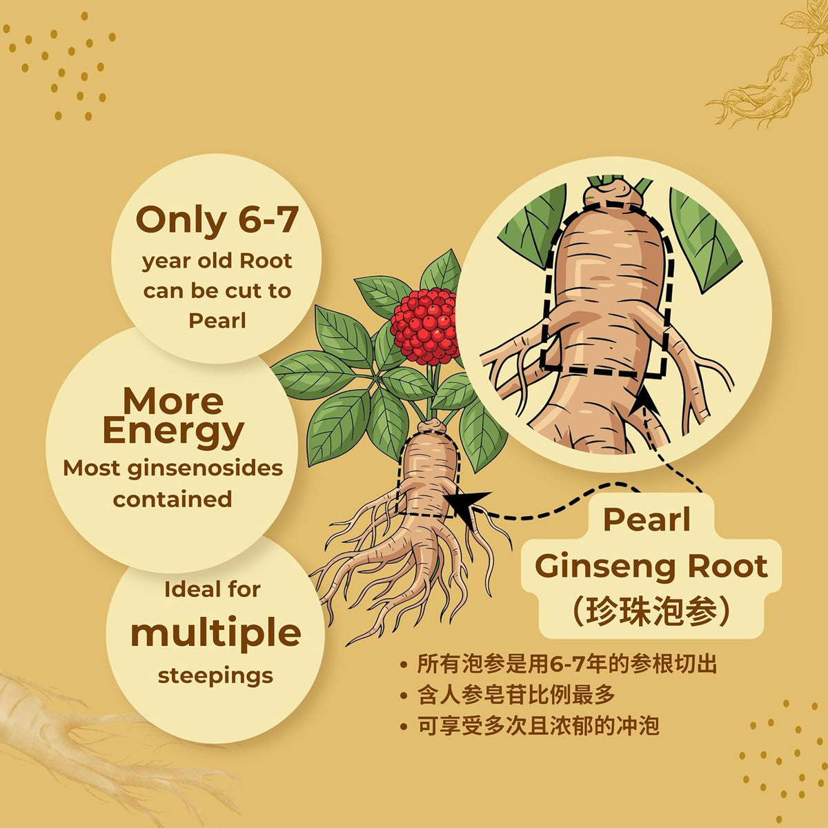 natural energy boost with ginseng