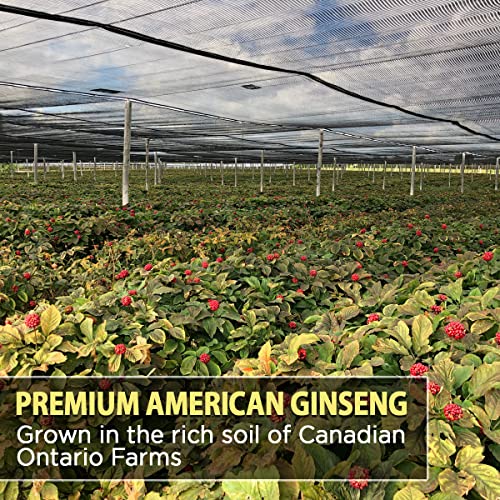 Natural energy boost with ginseng